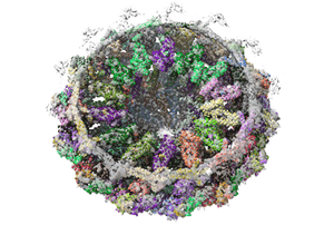 Quantifoil | SPT Labtech